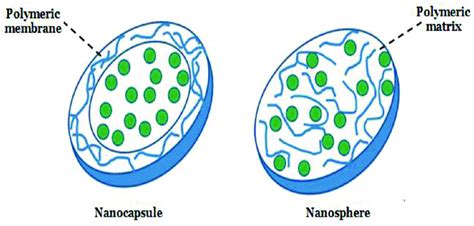 Nanocapsule And Nanosphere Schematics Download Scientific Diagram