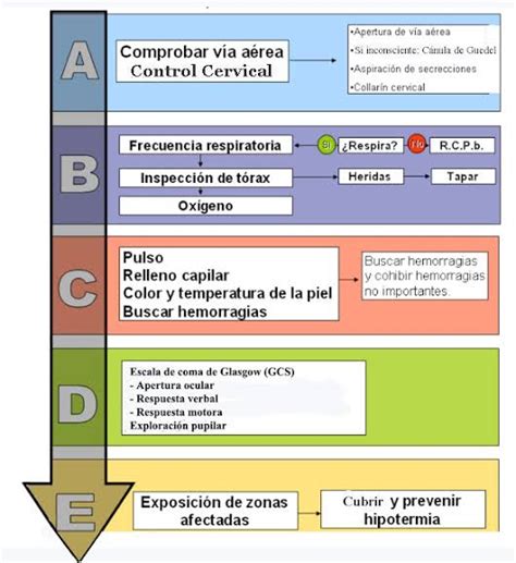 Abcde De La Medicina Según Atls Urgencias