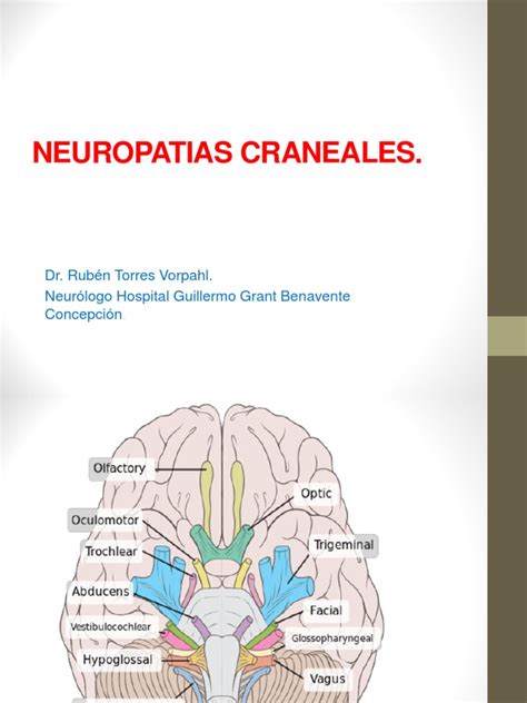 Neuropatias Craneales Pdf Percepción Visual Medicina Clinica