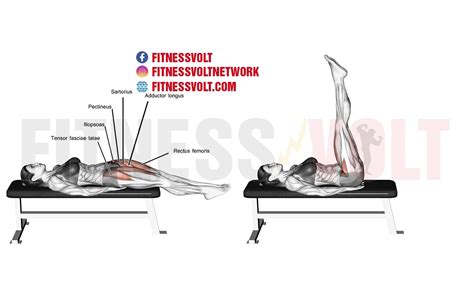 Straight Leg Raise Strengthen Abs And Hip Flexors Effectively Fitness Volt