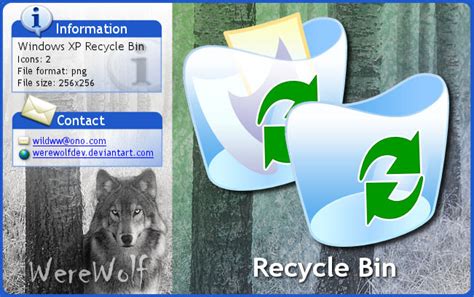 Windows Xp Recycle Bin Icon