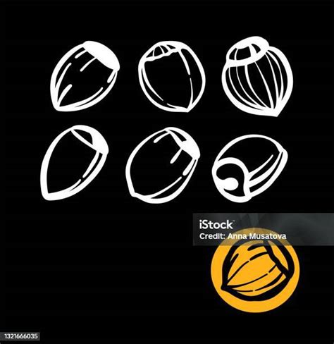 검은 색 배경에 흰색 그림 세트 헤이즐넛 헤이즐넛 플로터에서 인쇄용 로고 또는 로고 헤이즐넛에 대한 스톡 벡터 아트 및 기타