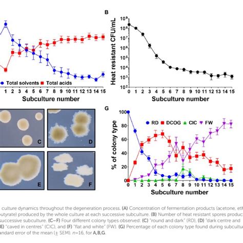 Fitness Assays Between Wt And Derived Mutants Frequency Dependent Download Scientific Diagram