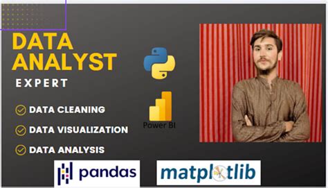 Do Data Analysis Cleaning And Visualization With Python By Zain