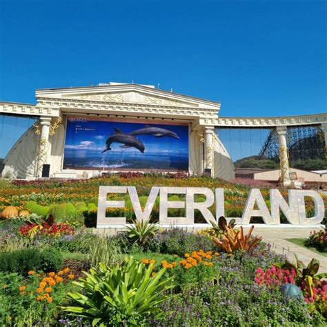 용인 아이와 가볼만한곳 에버랜드 놀거리 자유이용권 연간회원권 350 시간 가격 할인 방법 카드 등록 재가입 사파리 판다월드 입장 정보 네이버 블로그