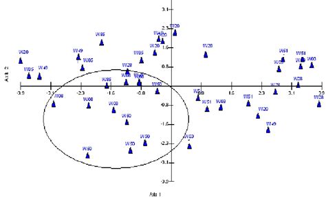 Two Dimensional PCoA Plot Of Relationships Among Oryza Rhizomatis