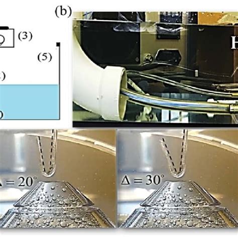 A Illustration Of Experimental Setup The Transducer Resting On Download Scientific