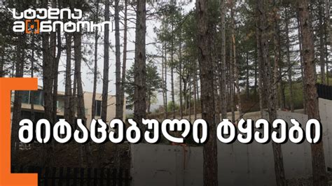 მიტაცებული ტყეები Monitori