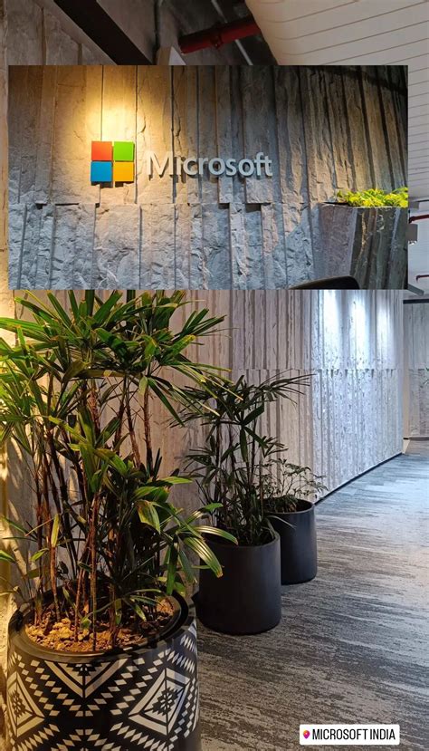 Sarita Shukla On Linkedin Founderhub Healthcare Microsoftazure Startupsuccess Aiinhealthcare