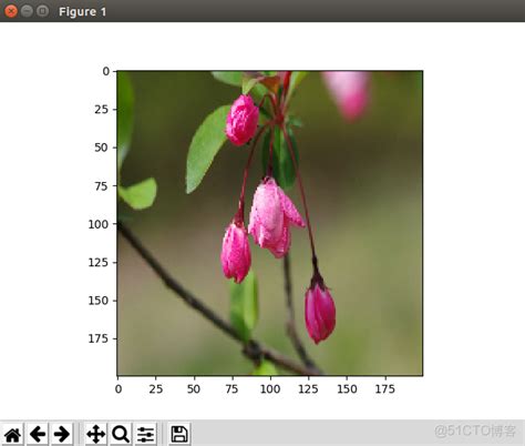 Js Tensorflow 图片识别 Tensorflow 图像mob6454cc747bda的技术博客51cto博客