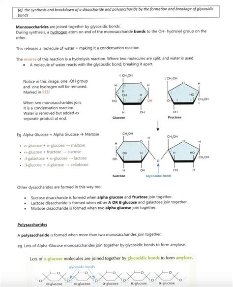 Ocr A Biology Biological Molecules Notes A A Level Biology Teaching Resources