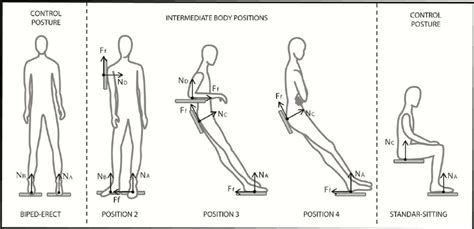 Set Of Postures And Positions Selected For Testing Control Postures Download Scientific