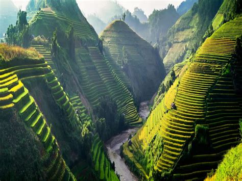 Rice Fields In Vietnam Where To Find The Most Spectacular Rice Fields