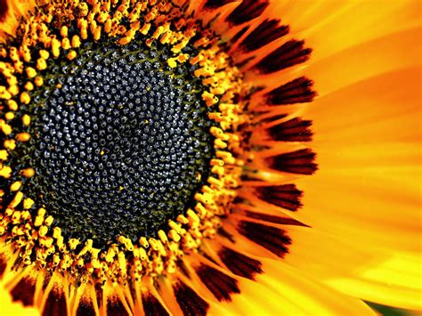 The Top Rules For Photography Composition