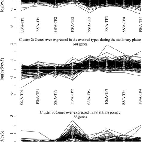 —the Three Clusters Of Differentially Expressed Genes Each Line Download Scientific Diagram