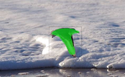 Opencv Mask Rcnn Openvino C Api Stack Overflow