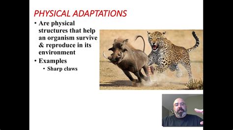 Adaptations Explained Behavioral And Physical Youtube