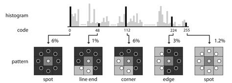 Figure 2 From Adhd Classification By A Texture Analysis Of Anatomical