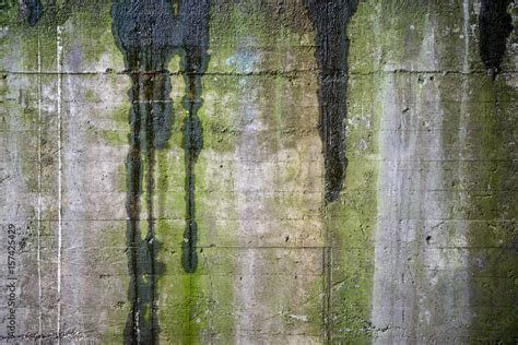 What Causes Green Algae On Concrete At Emma Wilhelm Blog