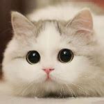 浮点类型数据与字节数据转换C语言 浮点数转字节工具 CSDN博客