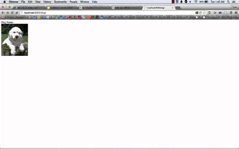 golang servers serving assets youtube