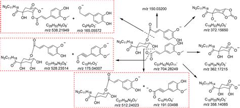 The Proposed −esi Q Tof Msms Fragmentation Pathway Of Download