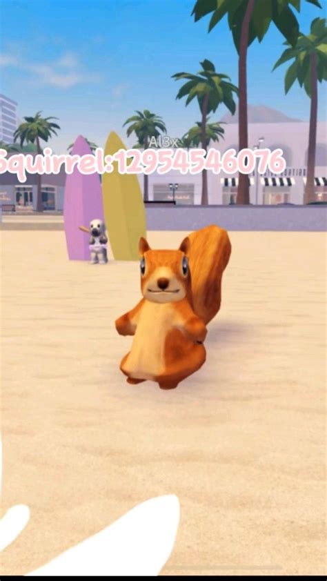 Any Codes For Towels Or Anything And Star Of The Night And Squirrel