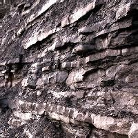 Shale Machine Set To Crack The Clay Code UNSW Connected Waters