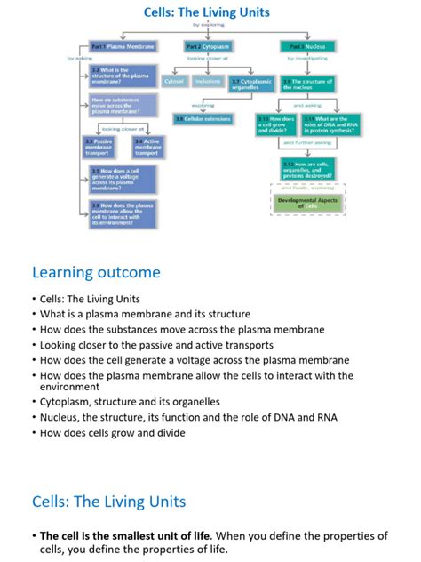 Week 3 Cell The Living Units Pdf Translation Biology Cell