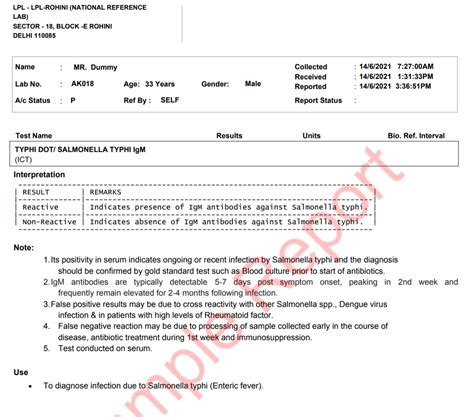 Typhidot Test Igm And Igg Get Price Purpose And Results [2024]