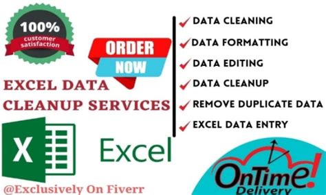 Clean Dedupe Sort And Format Your Excel Data By Pranjalpatha821 Fiverr