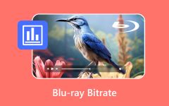 What Is Bitrate And How Does It Affect Video Quality