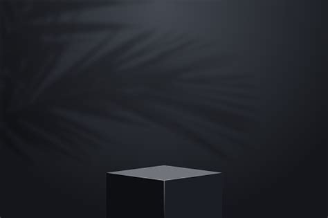 야자수 가지의 그림자 오버레이가 있는 사실적인 어두운 플랫폼 빈 받침대와 열대 야자수 잎의 투명한 오버레이 그림자 효과가 있는
