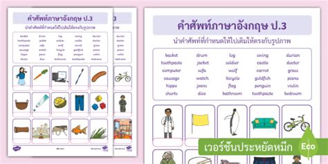 Free แบบฝึกหัดคําศัพท์ภาษาอังกฤษ ป 3 Vocabulary Worksheet