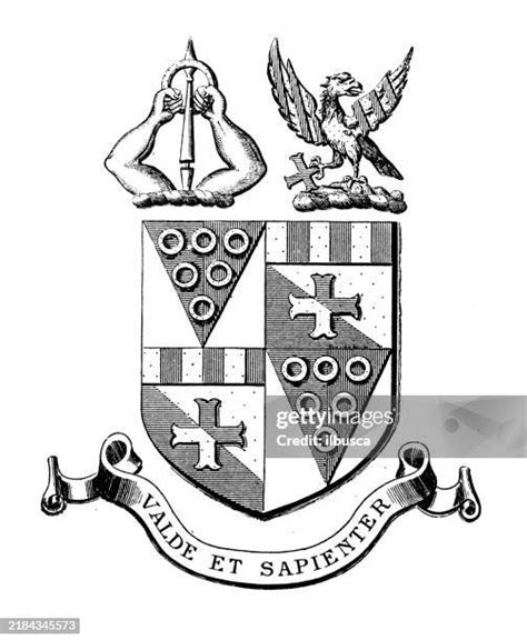 Heraldry Coat Of Arms Emblem John Musgrave Sagarmusgrave High Res Vector Graphic Getty Images