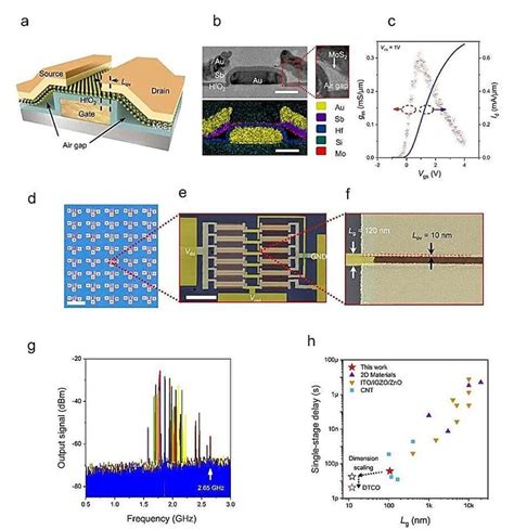 Integrated Circuits Based On A 2d Semiconductor Operating At Ghz Frequencies Lifeboat News