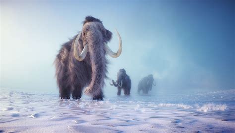 Mammoth Dna A Million Years Of Genetic History Newsylist