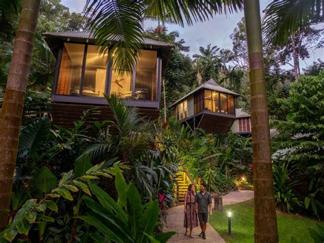 Best Luxury Treehouse Accommodation In Queensland Staytopia