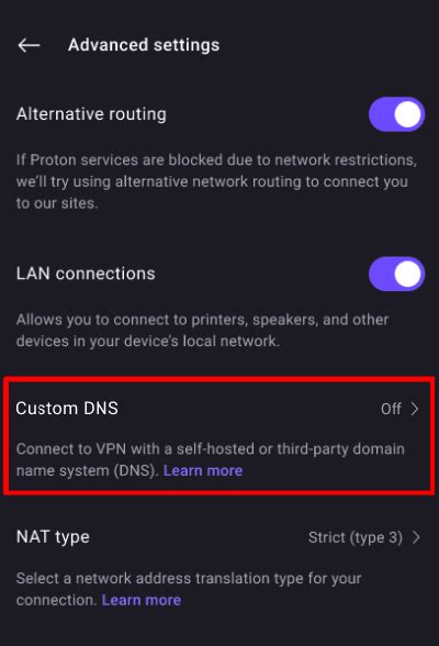 How To Use Custom Dns Proton Vpn