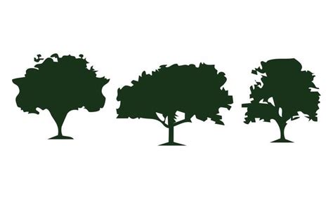 Architectural Tree Elevation Vector Art Icons And Graphics For Free
