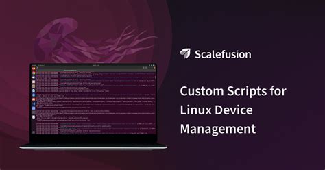 Streamlining Management Of Linux Devices With Scripting