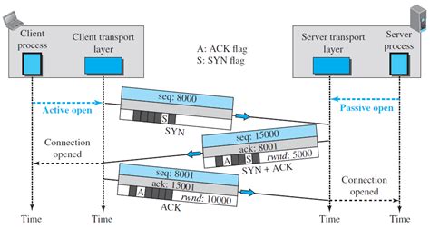 TCP UDP