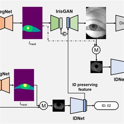 Proposed Framework Of Id Preserving Iris Synthesis With The Combination Download Scientific