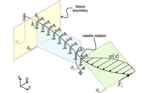 Modeling Needle Tissue Interactions Surgical Robotics Lab
