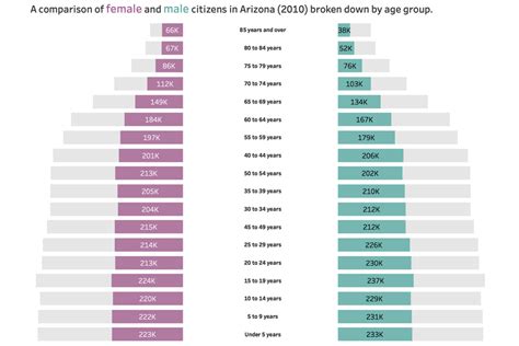 How To Visualize Agesex Patterns With Population Pyramids In Tableau Depict Data Studio