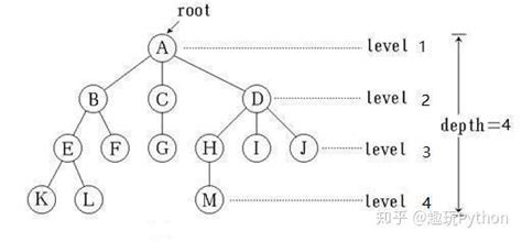 Python超全干货二叉树基础知识大全 知乎