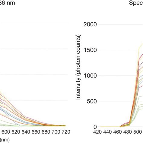 Spectra Sdr Of Drusen And Sub Rpe Deposits From 20 Amd Samples Top λ Download Scientific