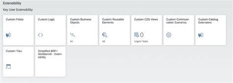 Which S4hana Extensibility Options Should I Use A Sap Community