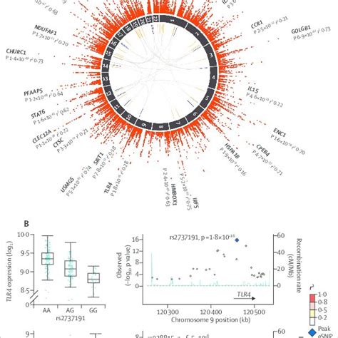 Sepsis Eqtl Circos Plot A Of From Outer Rim Inwards Manhattan Plot