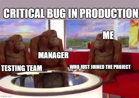 Team Imgflip